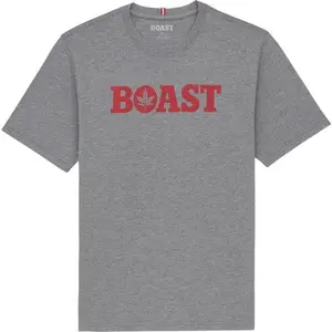 Boast Tee - Heather Grey Red