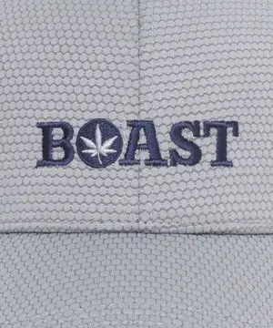 BOAST Dimple" Snapback - Grey