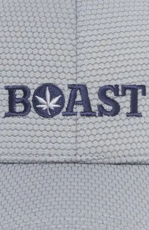 Boast Dimple" Snapback Hat - Grey