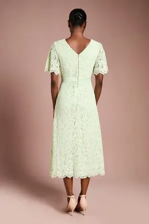 Coast Scallop Hem V-neck Lace Midi Dress