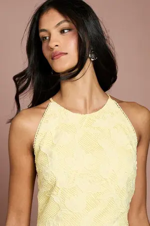 Coast Petite Halterneck Lace Midi Dress