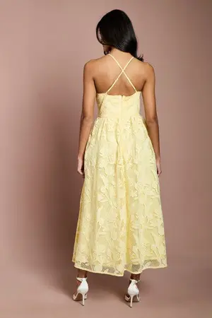 Coast Petite Halterneck Lace Midi Dress - Butter