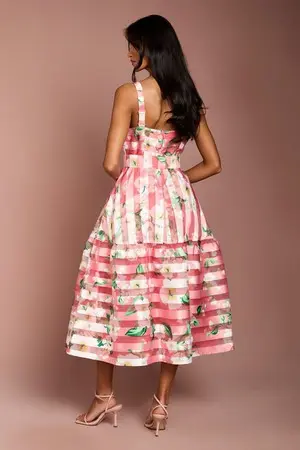 Coast Petite Floral Organza Midi Dress