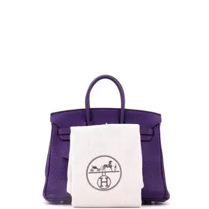 Hermès Birkin Handbag Purple Togo With Palladium Hardware 25 - Red