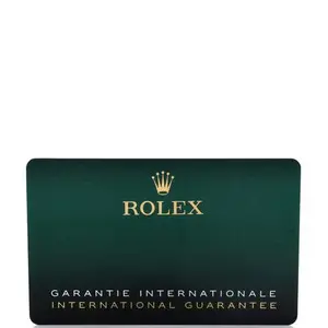 ROLEX Oyster Perpetual Automatic Watch Stainless Steel 41