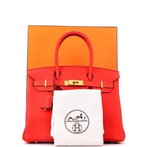 Hermès Birkin Handbag Clemence With Gold Hardware 30