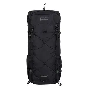 REGATTA Survivor V 11.8gal Knapsack - Ash