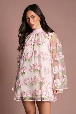 Coast Long Sleeve Embroidered Mesh Shift Dress