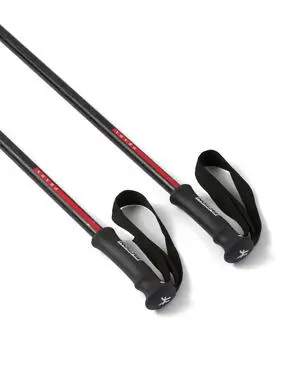 Prada Faction X Ski Poles