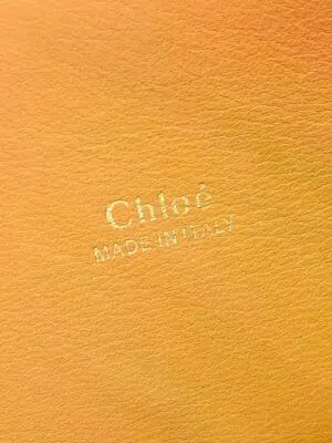 Chloé 2010-2026 Crocodile Embossed Aby Satchel