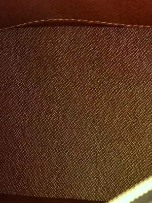 LOUIS VUITTON Cite Handbag Monogram Canvas Mm Shoulder Bag