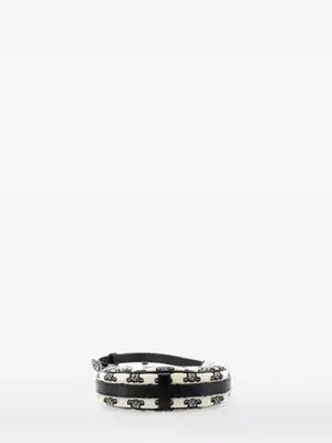 Celine Ava Bag Triomphe Canvas Mini Shoulder Bag