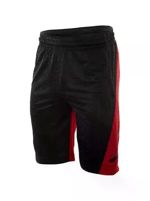 JORDAN Air Rise Vertical Basketball Shorts