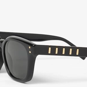 Fendi Five Sisters Sunglasses