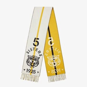 Fendi Scarf - Multicolour