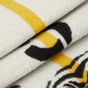 Fendi Scarf