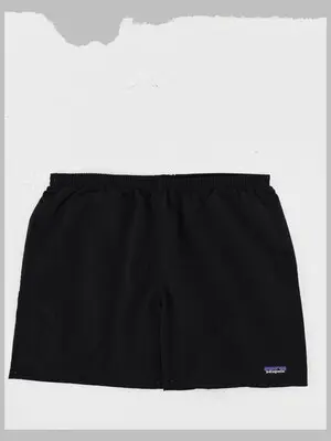 Patagonia Shorts "baggies