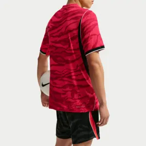 Nike Korea 2026 Match Home Authentic Soccer Jersey
