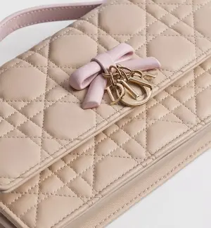 Dior My Mini Bag