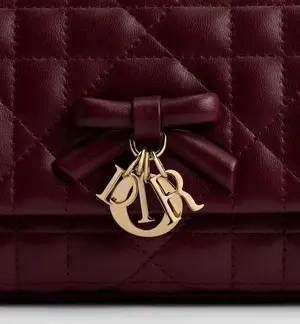 Dior Flap Shoulder Bag