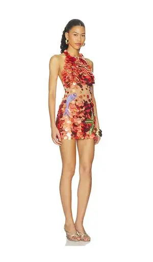 Retrofete Dorothy Embroidered Dress In Multi