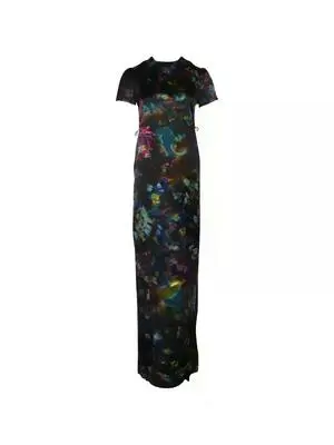 Erdem Aurelia Printed Maxi Dress
