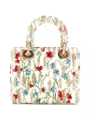 Dior Lady Embroidered Printed Leather Satchel - Multicolour