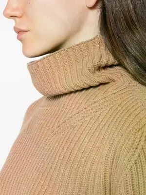 Liviana Conti Ribbed Knit Turtleneck Sweater