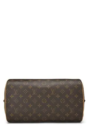 LOUIS VUITTON Monogram Ribera