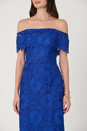 Shoshanna Midnight Garden Lace Avril Dress