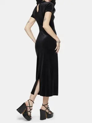 DISTURBIA Cameo Flocked Mesh Insert Midi Dress