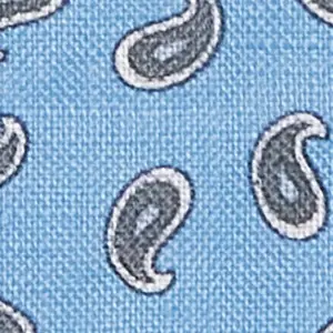 Isaia Silk Printed Pocket Square