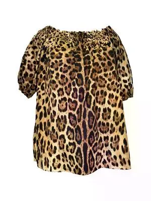 Dolce & Gabbana Leopard-print Off-shoulder Top