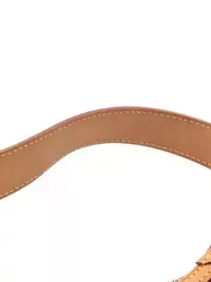 LOUIS VUITTON 2010 Gm Thames Shoulder Bag