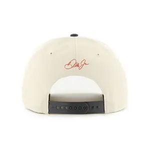 '47 47 Dale Earnhardt Jr. Sponsor & Number Hitch Adjustable Hat