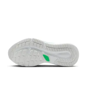 Nike Winflo Road Running Shoes