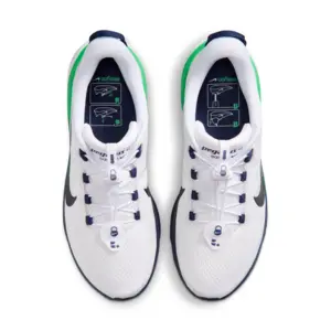Nike Pegasus 42 Easyon Road Running Shoes