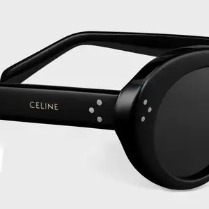 Celine Cat Eye S193 Sunglasses In Acetate