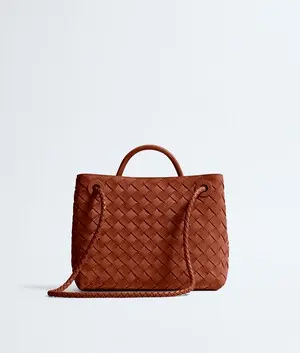 Bottega Veneta Small Andiamo