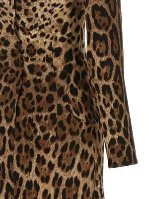 Dolce & Gabbana Animal Print Dress