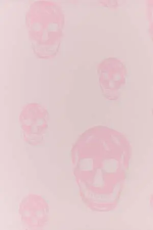 Alexander McQueen Printed Silk Foulard