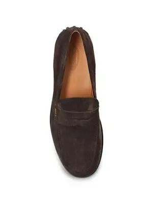 TOD'S Suede Loafers With Gold-tone Logo Plaque - Multicolor