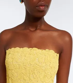 Simkhai Sera Lace Bustier Maxi Dress