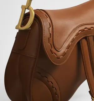 Dior Saddle Bag With Strap