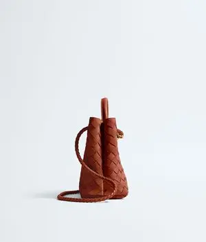Bottega Veneta Small Andiamo Shoulder Bag