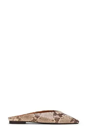 Steve Madden Sherman Mule - Snake Multi