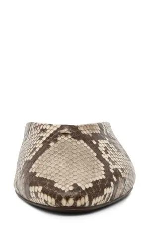 Steve Madden Sherman Mule - Snake Multi
