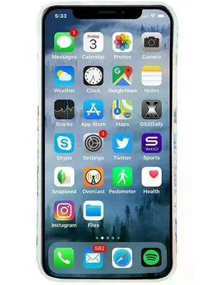 Dsquared2 Hawaii Iphone X Case