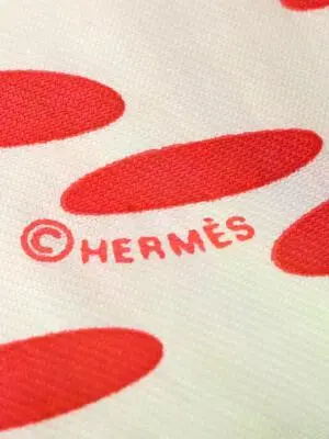 Hermès 2010s Twilly Hola Flamenca Scarf