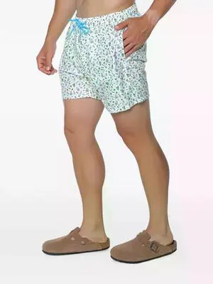 MC2 SAINT BARTH Lighting Micro Fantasy Swim Shorts